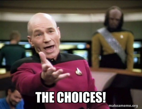 The choices! - Annoyed Picard Meme Generator