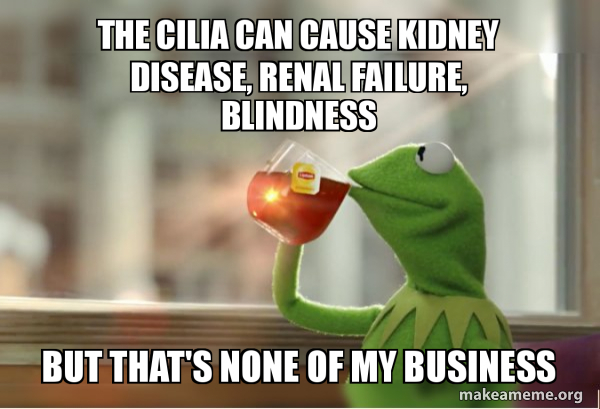 Kidney Disease Memes Kidneys Memes And Images Imgur