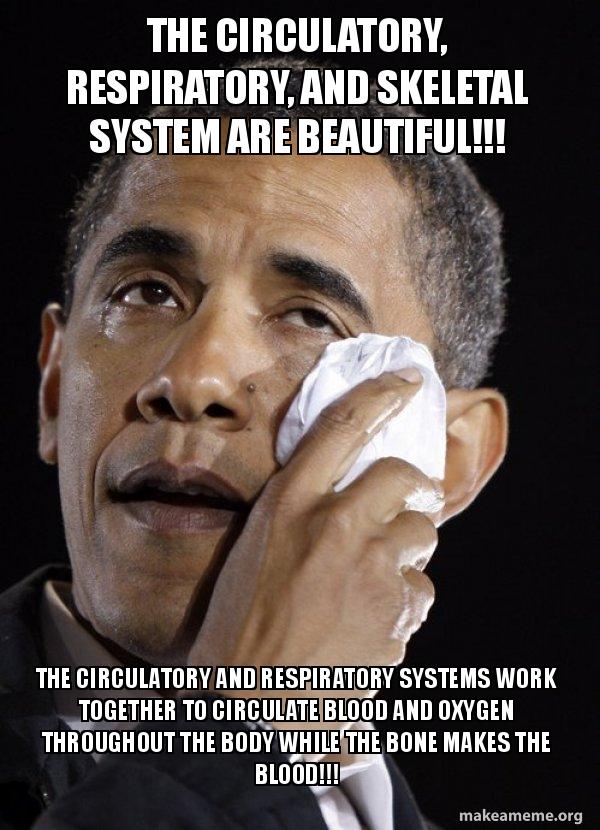 The Circulatory, Respiratory, and Skeletal System Are Beautiful!!! The ...