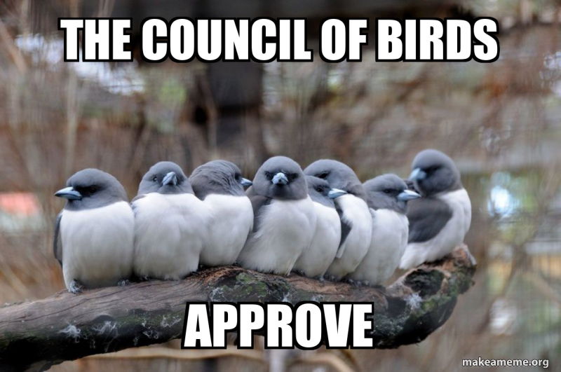 The council of birds approve - The council of birds approve Meme Generator
