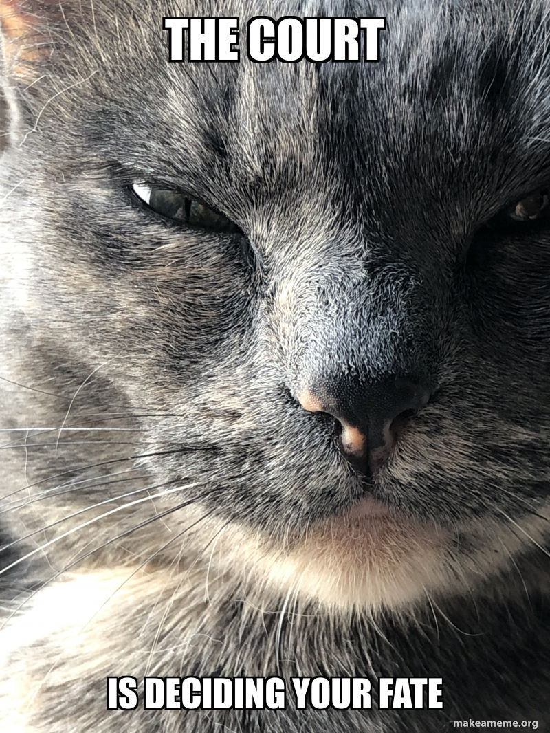 The court Is deciding your fate Meme Generator