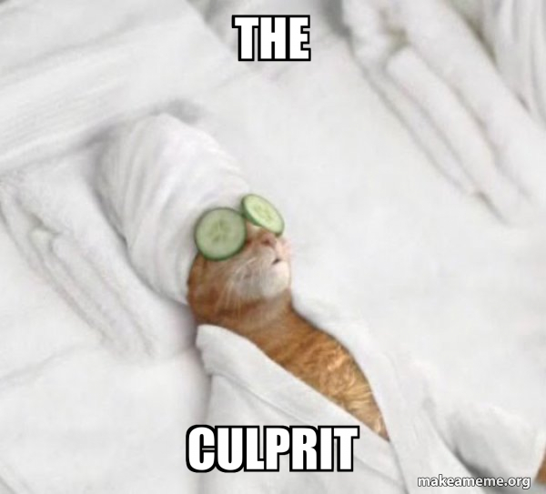 the culprit - Pampered Cat Meme Meme Generator