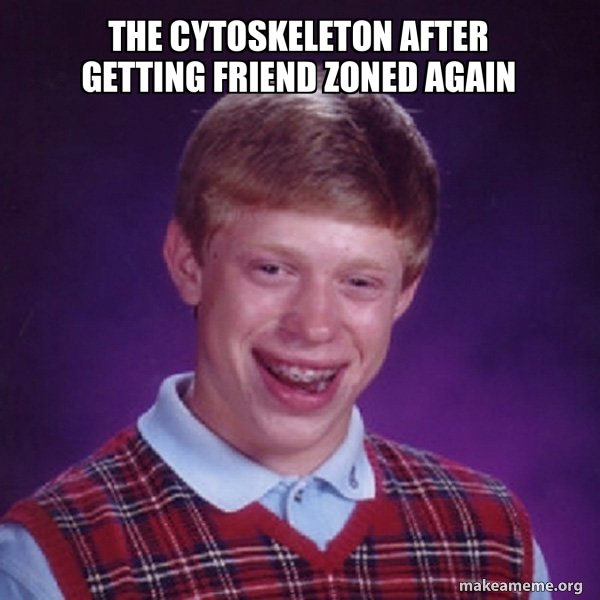 The cytoskeleton after getting friend zoned again - Bad Luck Brian Meme ...