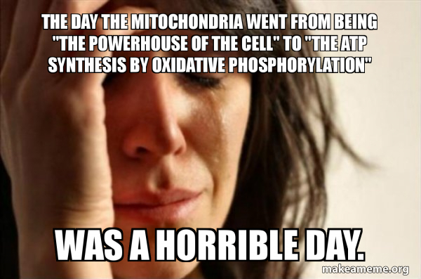 The day the mitochondria went from being "the powerhouse of the cell ...