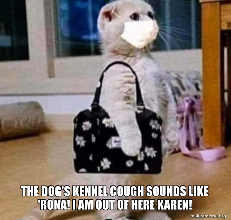 The dog's Kennel cough sounds like 'rona! I am out of here karen! Meme ...