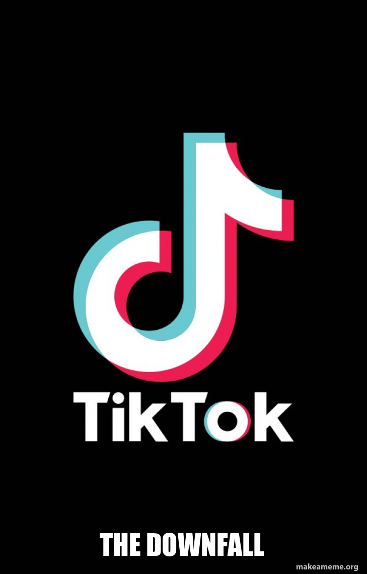 the downfall - TikTok Meme Generator