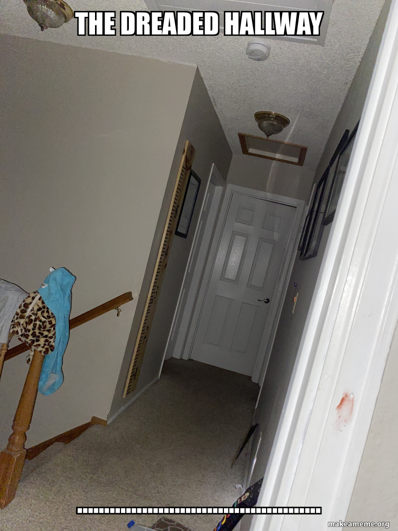 The dreaded hallway â€¦â€¦â€¦â€¦â€¦â€¦â€¦â€¦â€¦â€¦â€¦â€¦â€¦â€¦â€¦ Meme ...