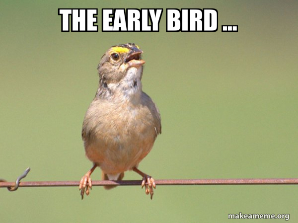 The early bird ... - Common Opinion Sparrow Meme Generator