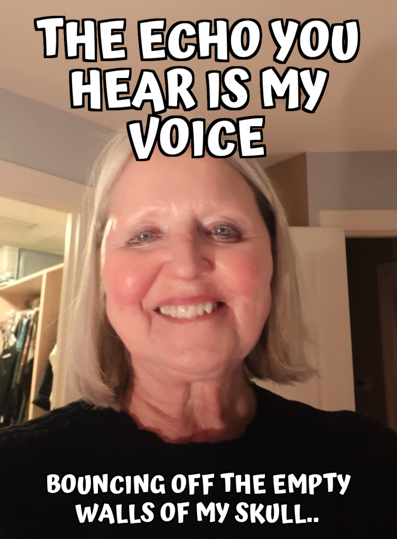 The echo you hear is my voice Bouncing off the empty walls of my skull.. Meme Generator