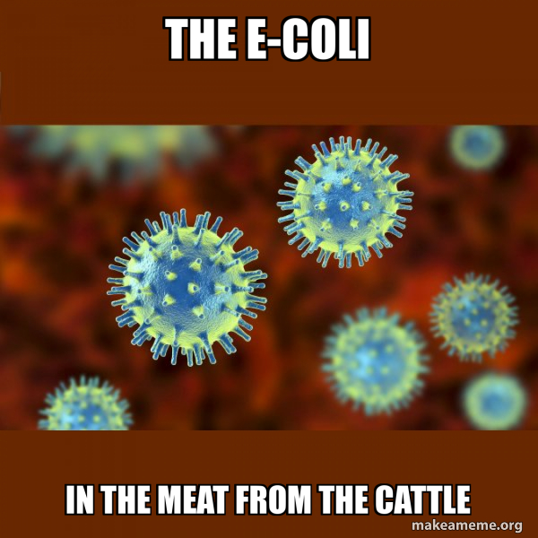 The E-coli in the meat from the cattle - Coronavirus ( COVID-19 ) Meme ...