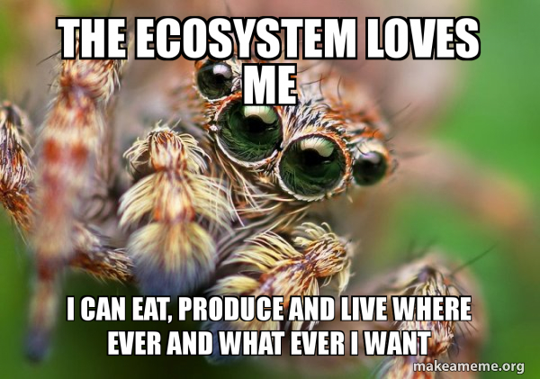 The ecosystem loves me I can eat, produce and live where ever and what ...
