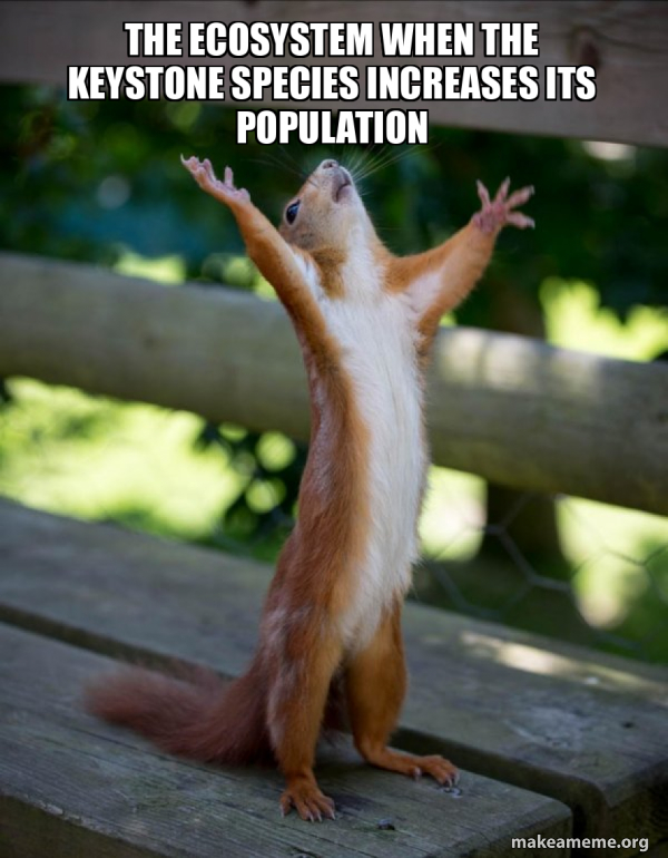 The ecosystem when the keystone species increases its population ...