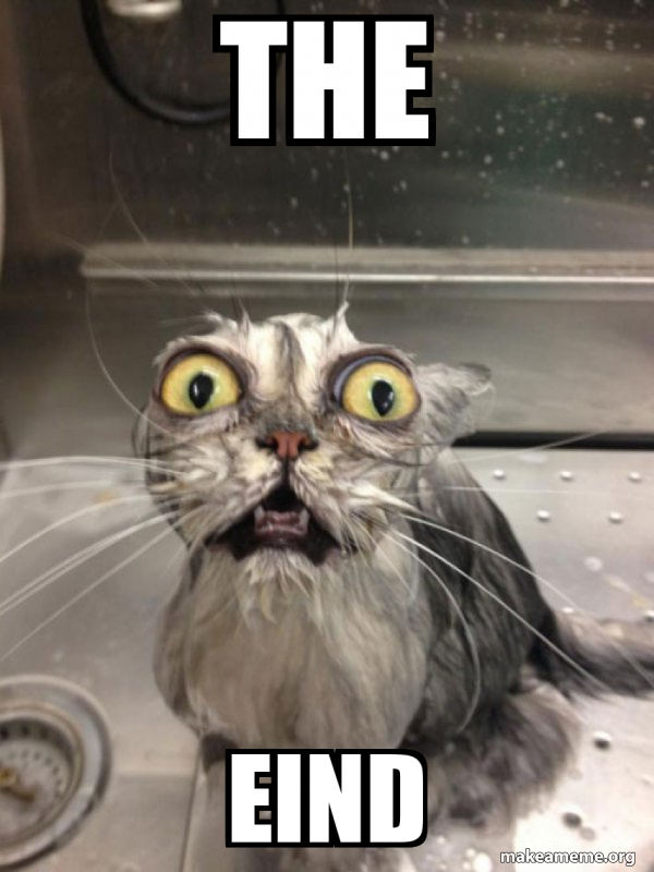 The Eind - Cat bath Meme Generator