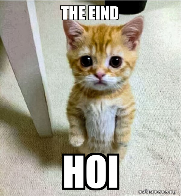 the eind hoi - Cute Cat Standing Meme Generator