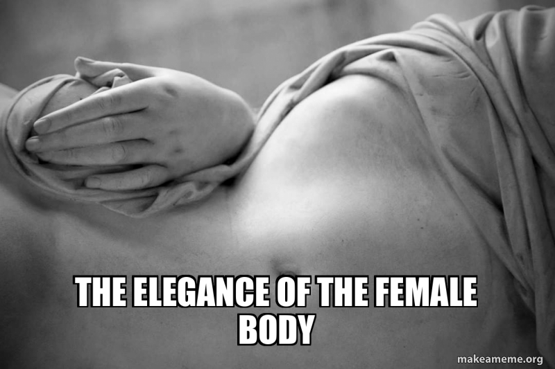 The elegance of the female body Meme Generator