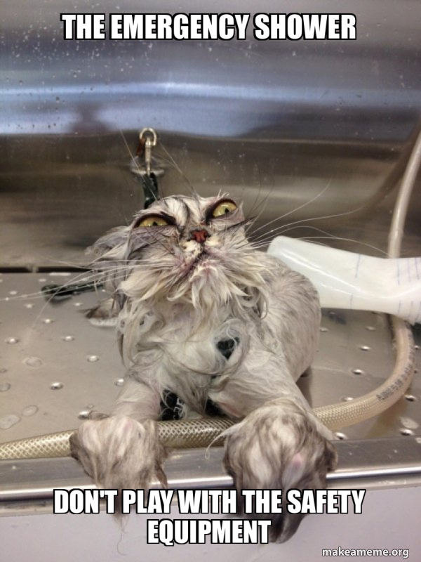 The Emergency Shower Don't play with the safety Equipment - Cat Bath ...