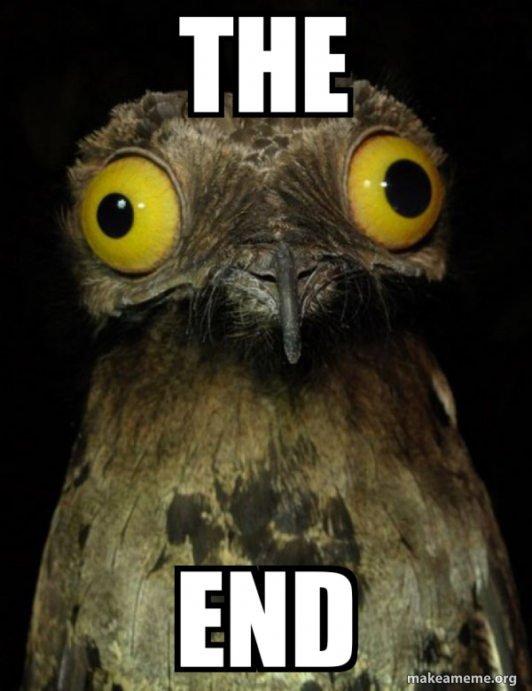 the end - Weird Stuff I do Potoo Meme Generator