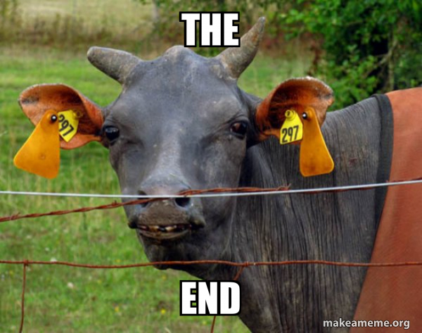 the end - Hairless Cow Meme Generator