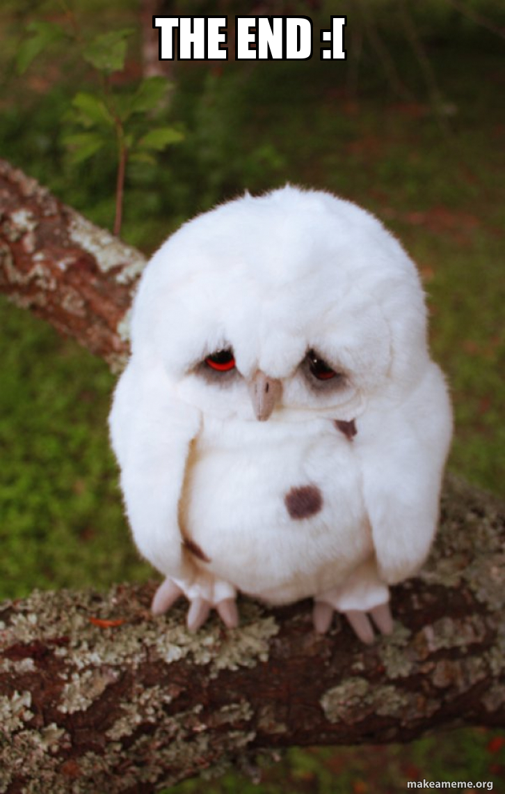 the end :[ - Sad Owl Meme Generator
