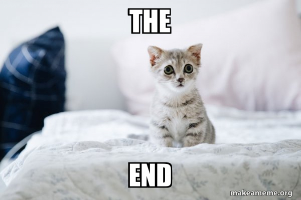 The End - Cute Kitten Meme Generator