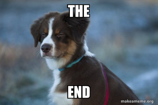 The End - Unsure Dog Meme Generator