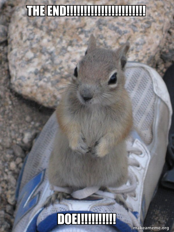 THE END!!!!!!!!!!!!!!!!!!!!!!! DOEI!!!!!!!!!! - Standover Squirrel Meme ...
