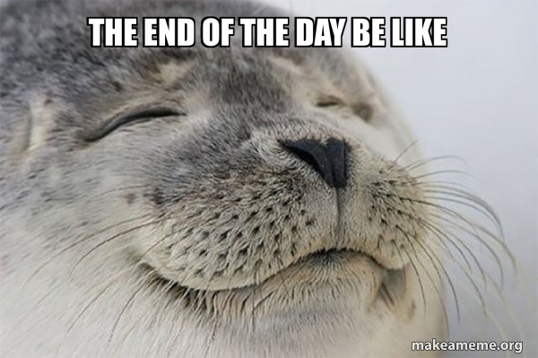 The end of the day be like - Satisfied Seal Meme Generator