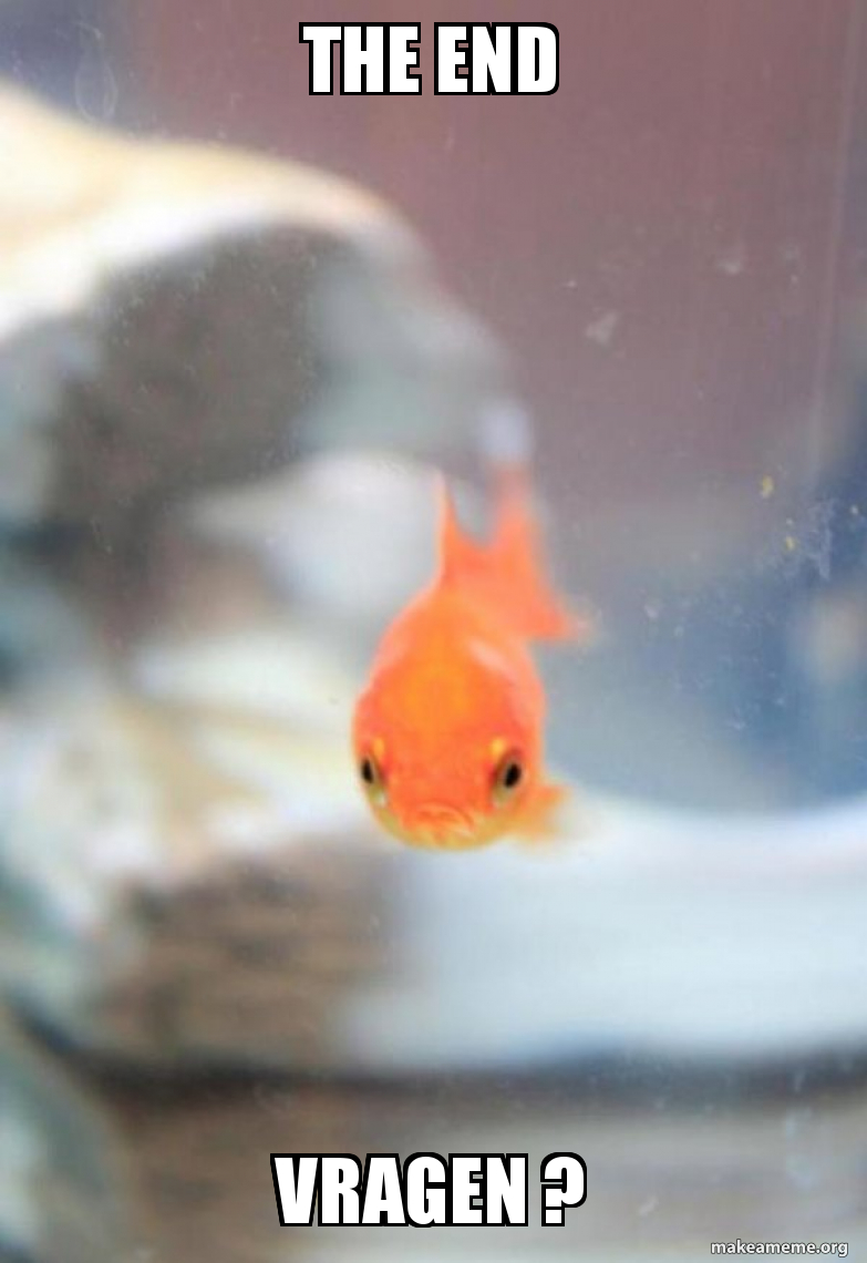 THE END vragen ? - Grumpy Fish Meme Generator