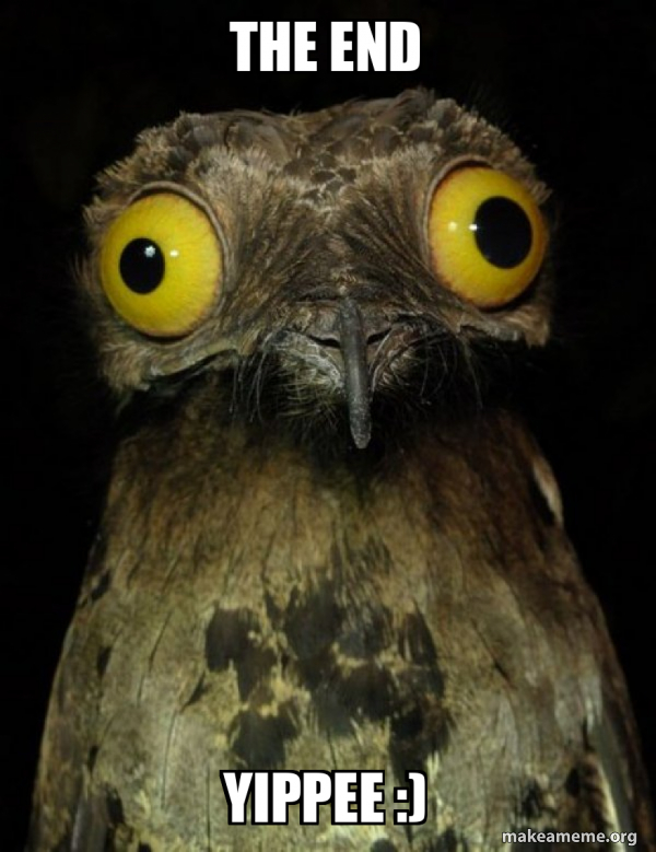 The end yippee :) - Weird Stuff I do Potoo Meme Generator