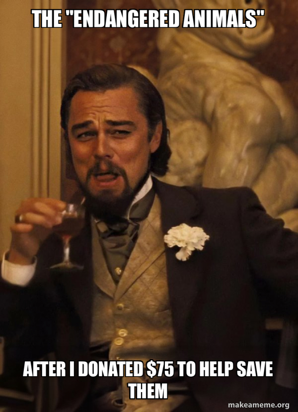 THE "ENDANGERED ANIMALS" AFTER I DONATED $75 TO HELP SAVE THEM ...