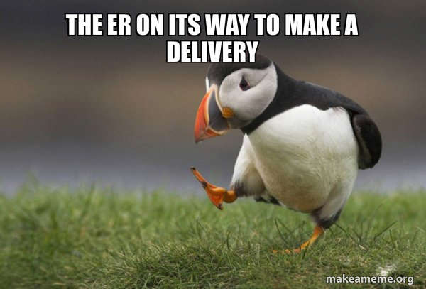 The ER on its way to make a delivery - Unpopular Opinion Puffin Meme ...