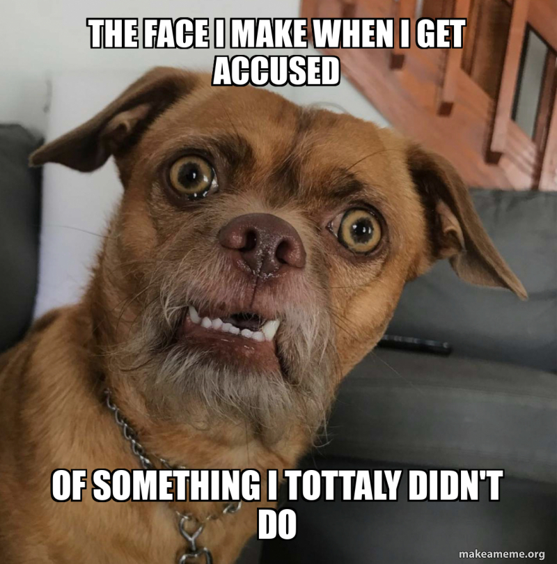 The face I make when I get accused Of something I tottaly didn't do ...