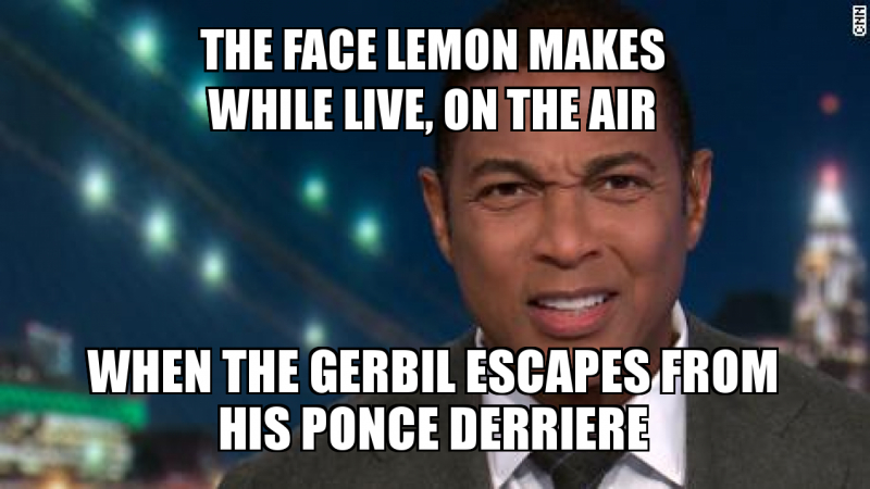 THE FACE LEMON MAKES WHILE LIVE, ON THE AIR when THE GERBIL ESCAPES ...