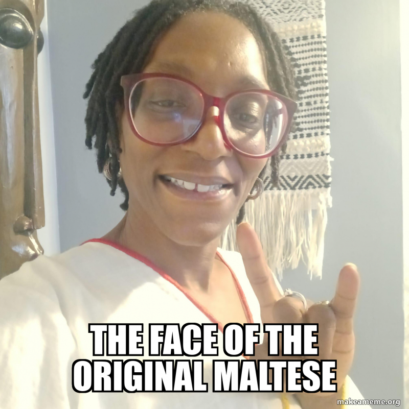 THE FACE OF THE ORIGINAL MALTESE Meme Generator