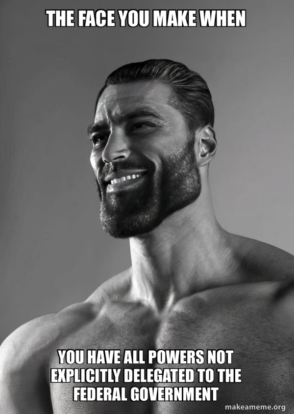 The face you make when you have all powers not explicitly delegated to ...