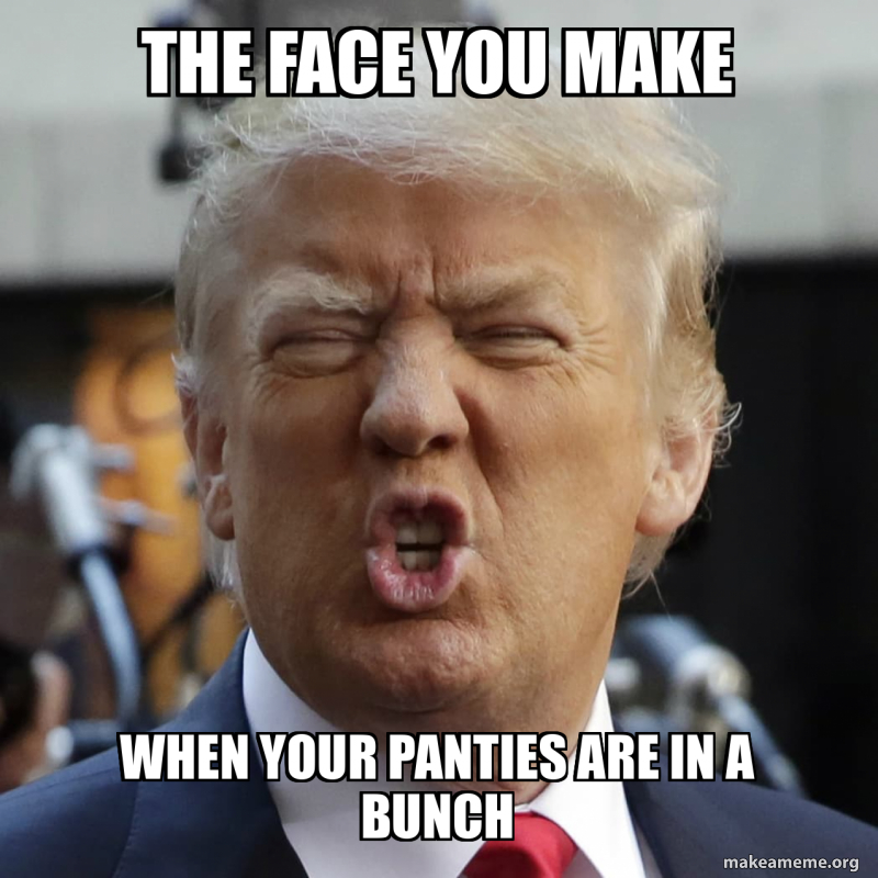 The face you make When your panties are in a bunch Meme Generator