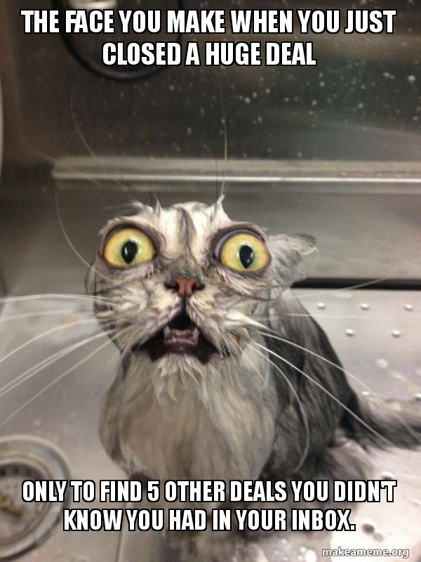 Face Only Memes A Face Only A Mother Could Love 9GAG