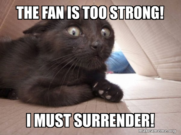 The fan is too strong! I must surrender! - Schitzo Cat Meme Generator
