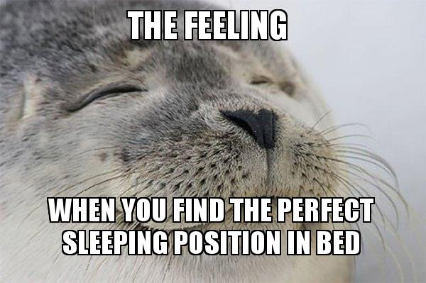 The feeling when you find the perfect sleeping position in bed ...