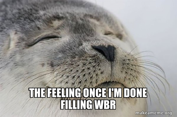 The feeling once I'm done filling wbr - Satisfied Seal Meme Generator