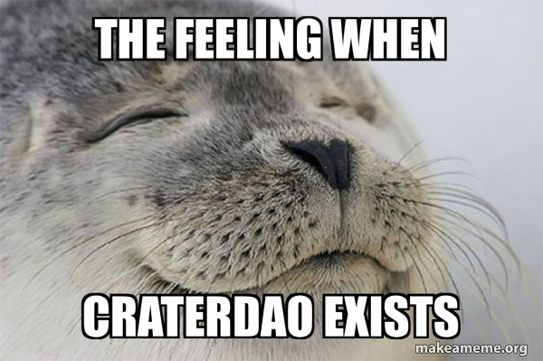 The feeling when CraterDAO exists - Satisfied Seal Meme Generator