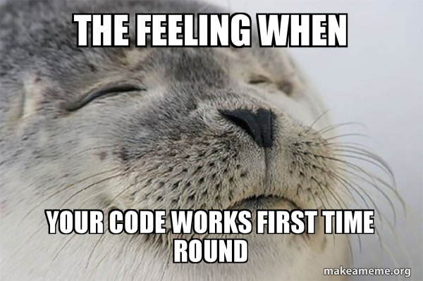 The feeling When Your code works first time round - Satisfied Seal ...