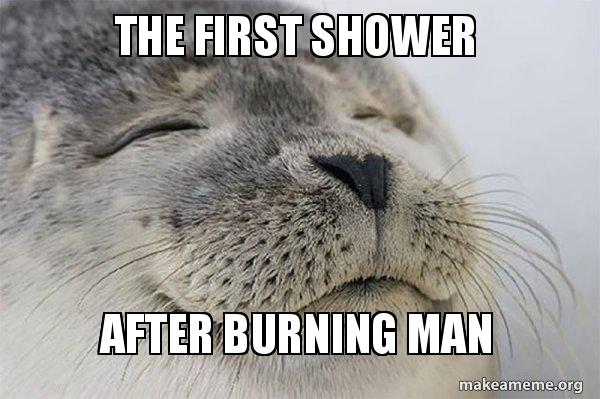 The First Shower After Burning Man - Satisfied Seal Meme Generator