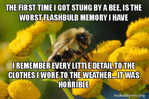 the first time i got stung by a bee, is the worst flashbulb memory I ...