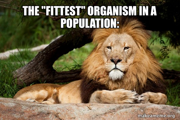 The "Fittest" organism in a population: - Contemplative Lion Meme Generator