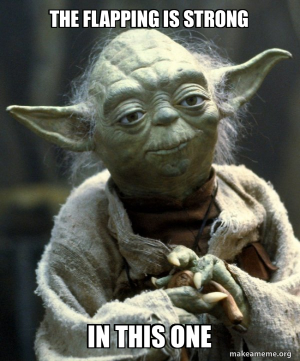 The flapping is strong in this one - Yoda Meme Generator