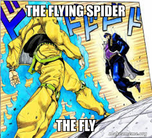 The flying spider The fly Meme Generator