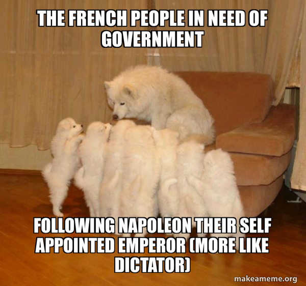 The French People In Need of Government Following Napoleon their Self ...