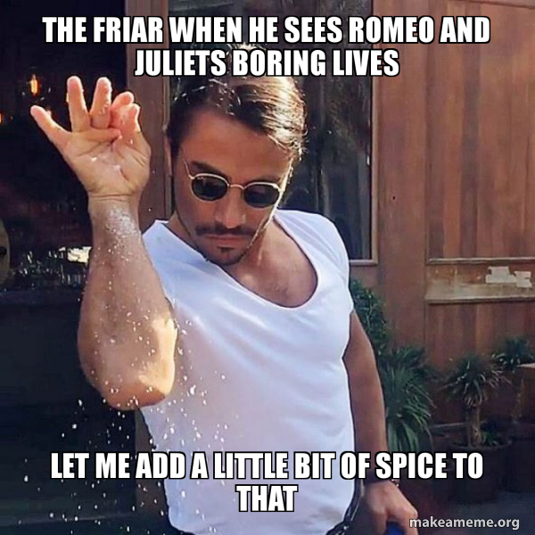 the friar when he sees romeo and juliets boring lives let me add a ...