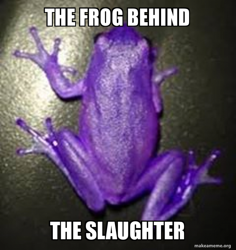 the frog behind the slaughter Meme Generator
